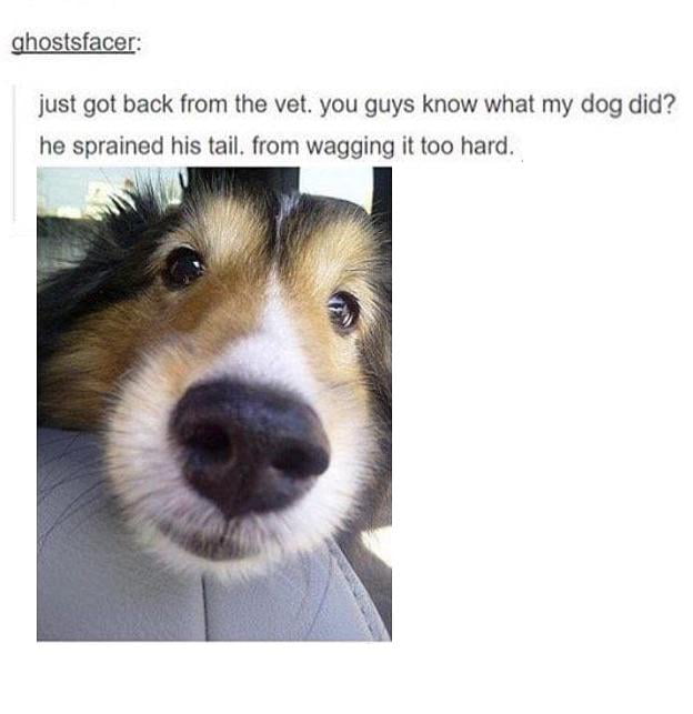 Happiness overload - 9GAG