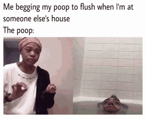 Does the poop know when we are at someone else's house. - 9GAG