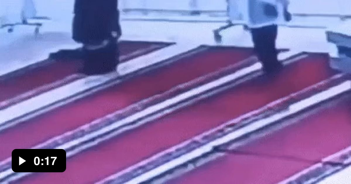 Sniff sniff!! Interesting behaviour… - 9GAG