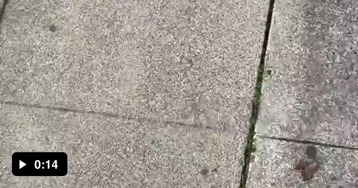 THIS IS SERIOUS, FOOL. - 9GAG