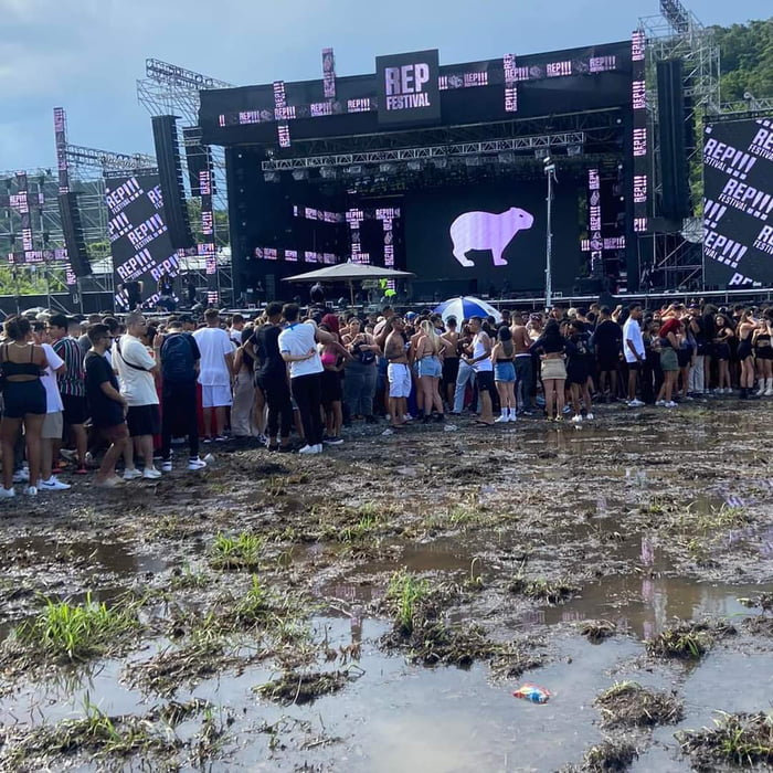 In Brazil even the capybaras are in the raves - 9GAG
