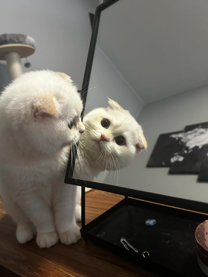 Mirror selfie - 9GAG