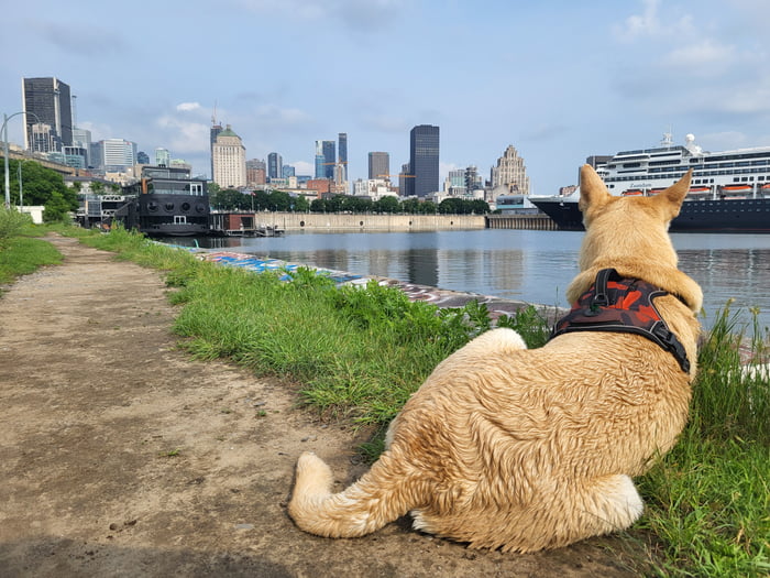 Watching over the city - 9GAG