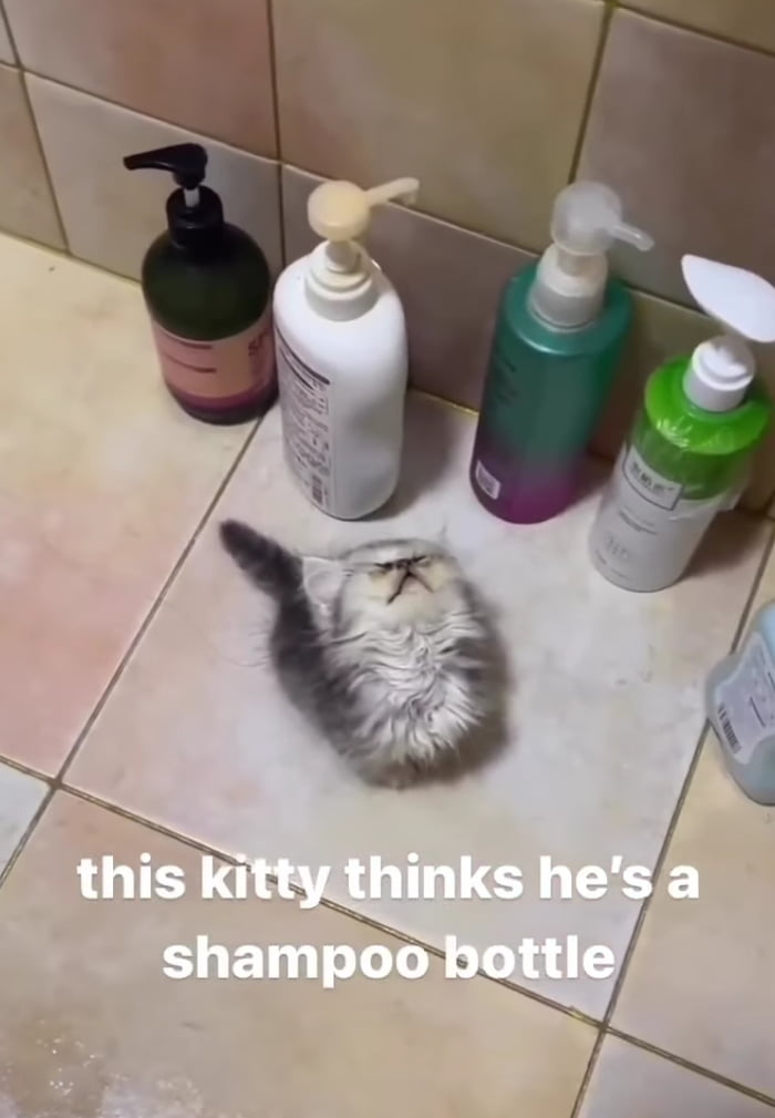 Bro is a shampoo bottle - 9GAG