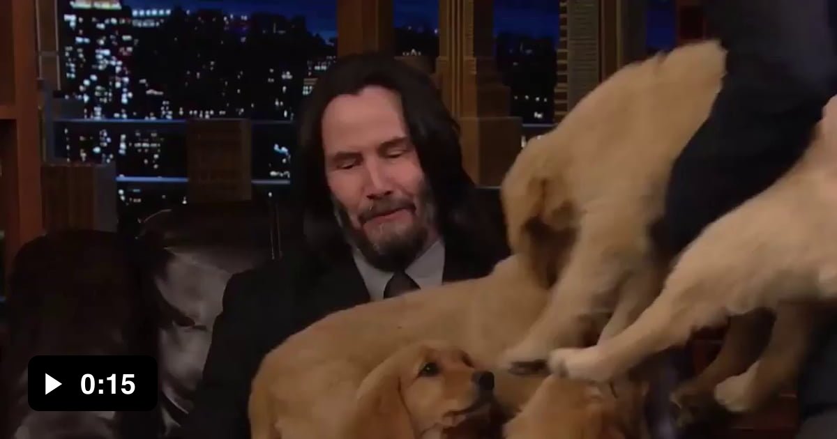 Keanu Reeves is the Puppy King - 9GAG