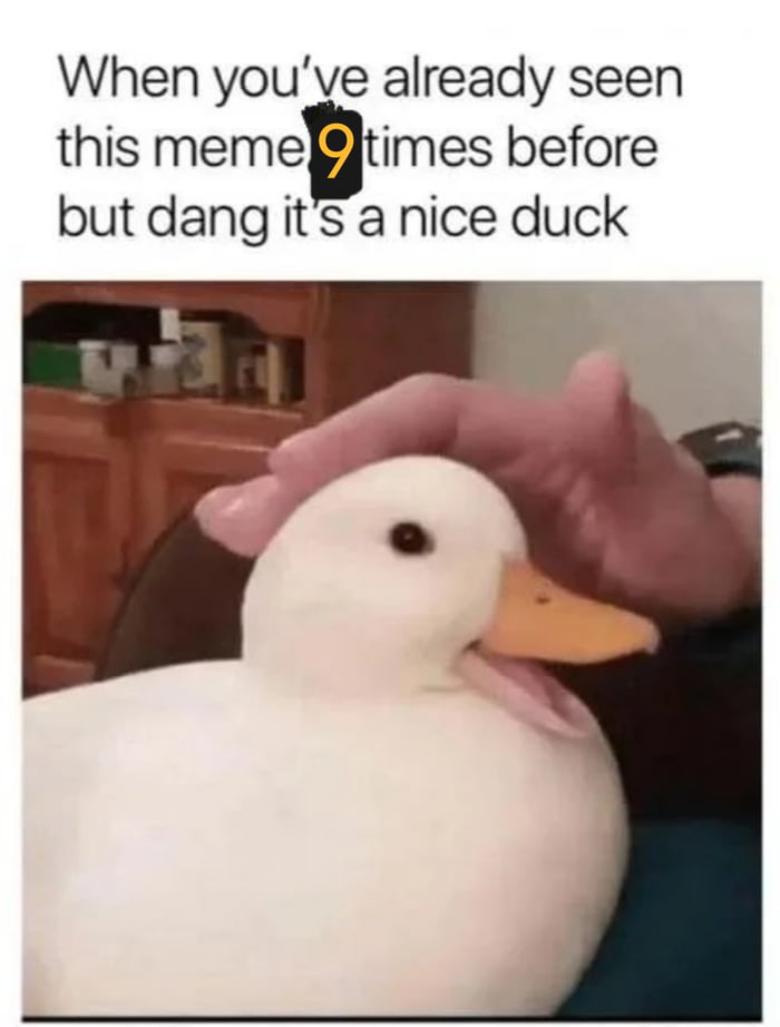 Ducking meme - 9GAG