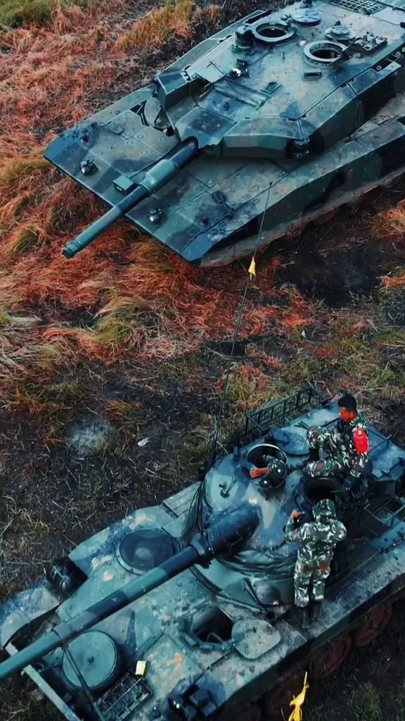 The old ones meet the new ones (Leopard 2 RI & AMX-13) - 9GAG