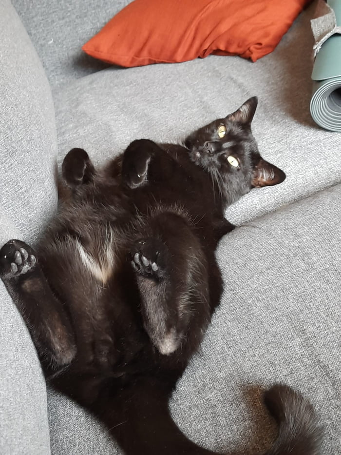 Goodbye, my sweet little void... - 9GAG