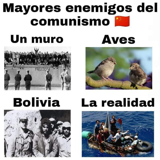 Le sumaria los memes, pero bueno. - 9GAG