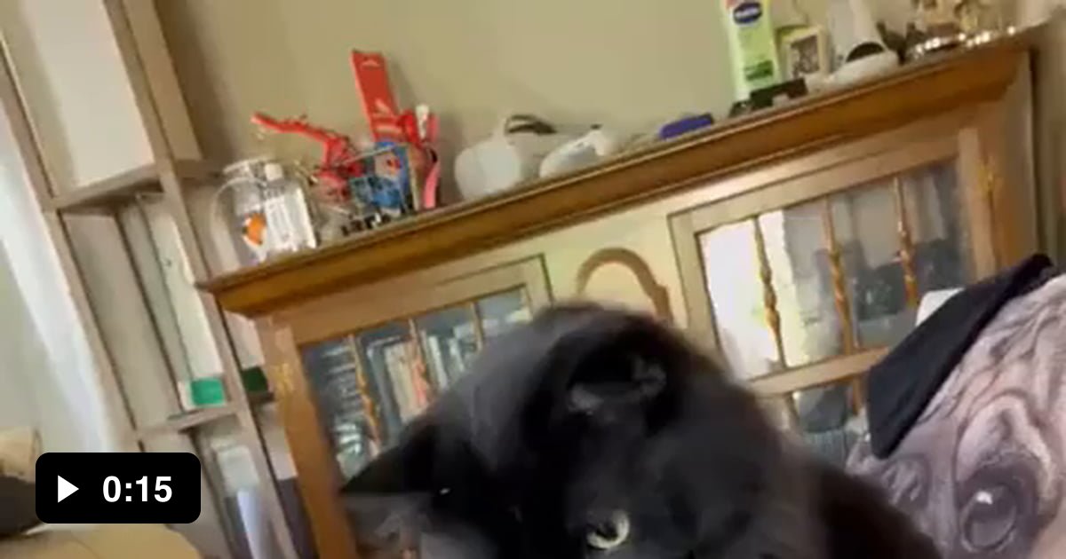 The curious claw - 9GAG