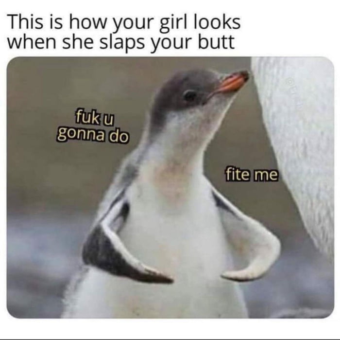 Fite me fite me - 9GAG