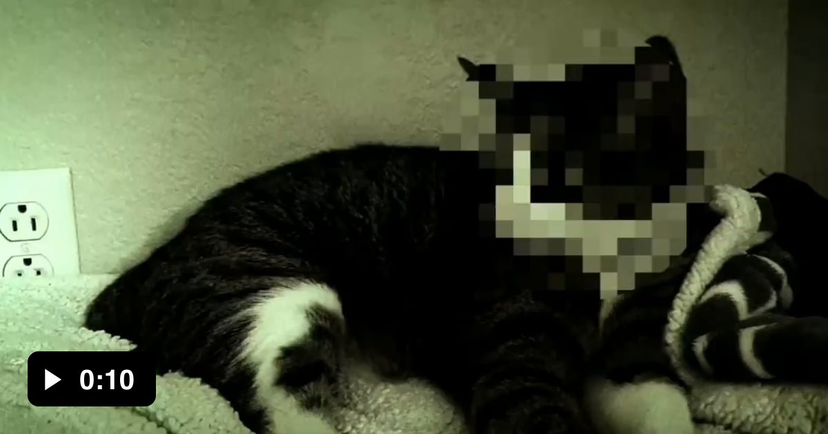 Rare interview with El Gato - 9GAG