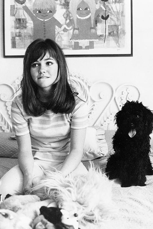 Young Sally Field with her Black Dog (early 1970s) - 9GAG