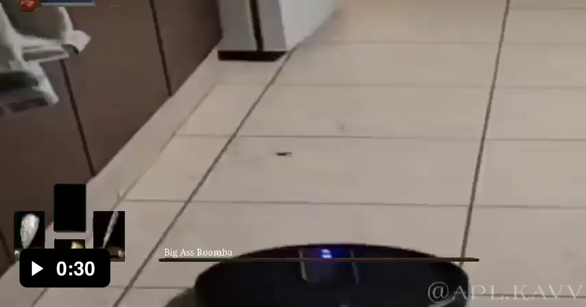 Big Ass Romba - The devourer of cockroaches - 9GAG