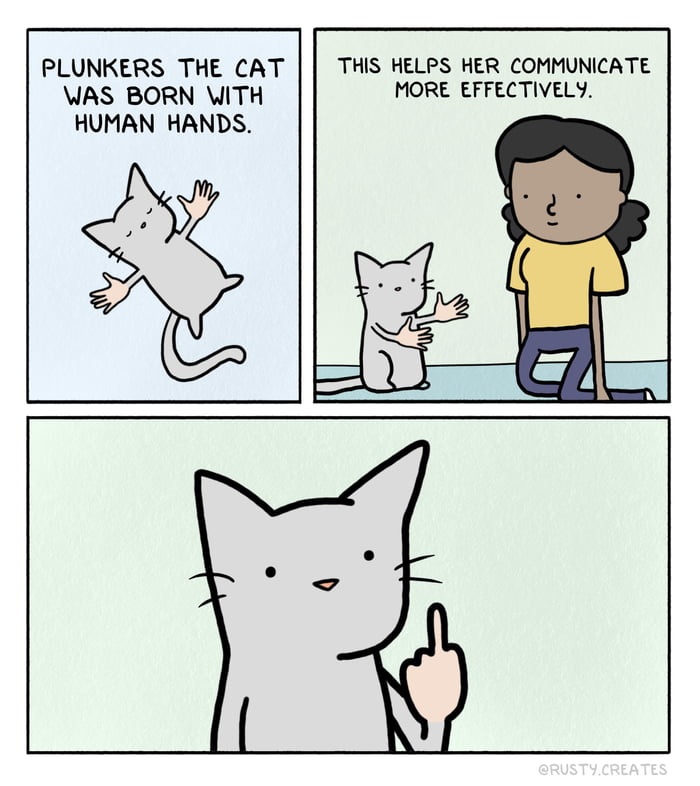 Italian cat - 9GAG