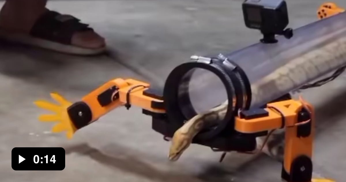 Snake controls exoskeleton it’s now a lizard - 9GAG