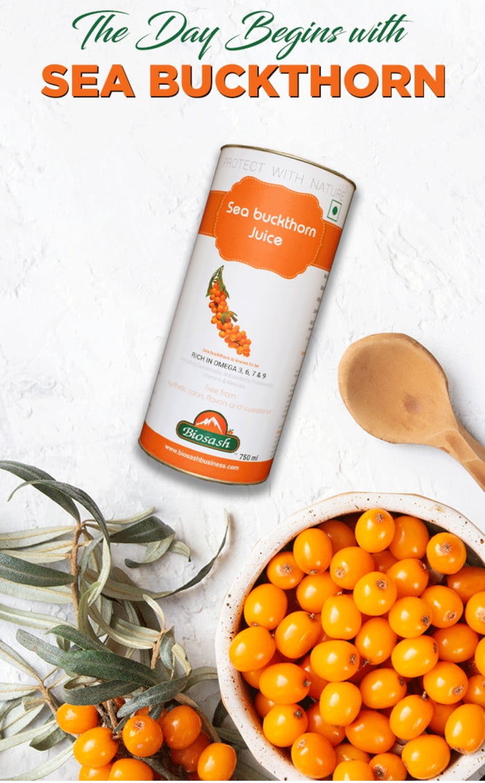 1), What Is Sea Buckthorn? Heaven’s Fruit, the wonder berry from the ...