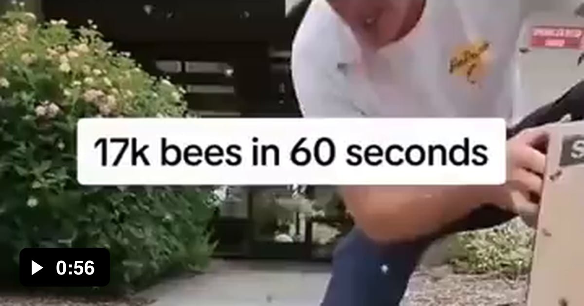 Satisfying saving the bees just one box. - 9GAG