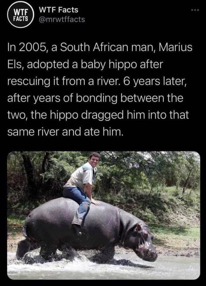 RIP Marius - 9GAG