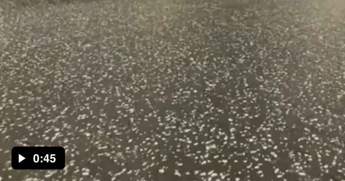 MORE! MOOOORE!!!!!! ohh - 9GAG