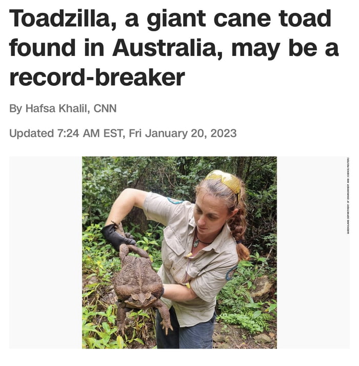 Absolute unit! 2.7-kilogram (5.9-pound) Cane Toad - 9GAG