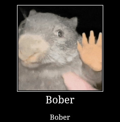 Bober - 9GAG