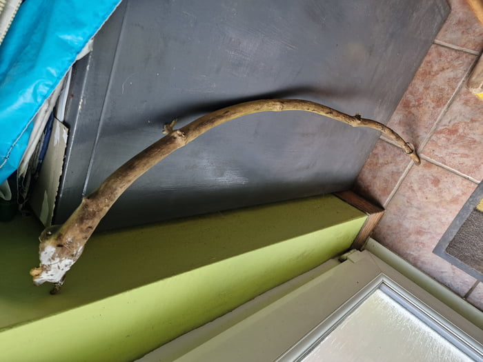 Rate my stick - 9GAG