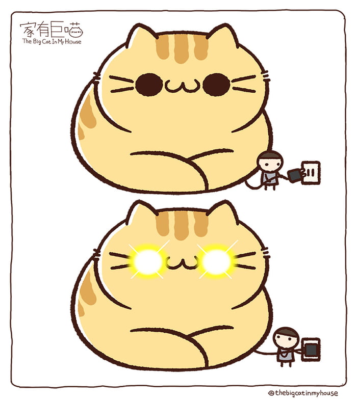 Cat charge - 9GAG