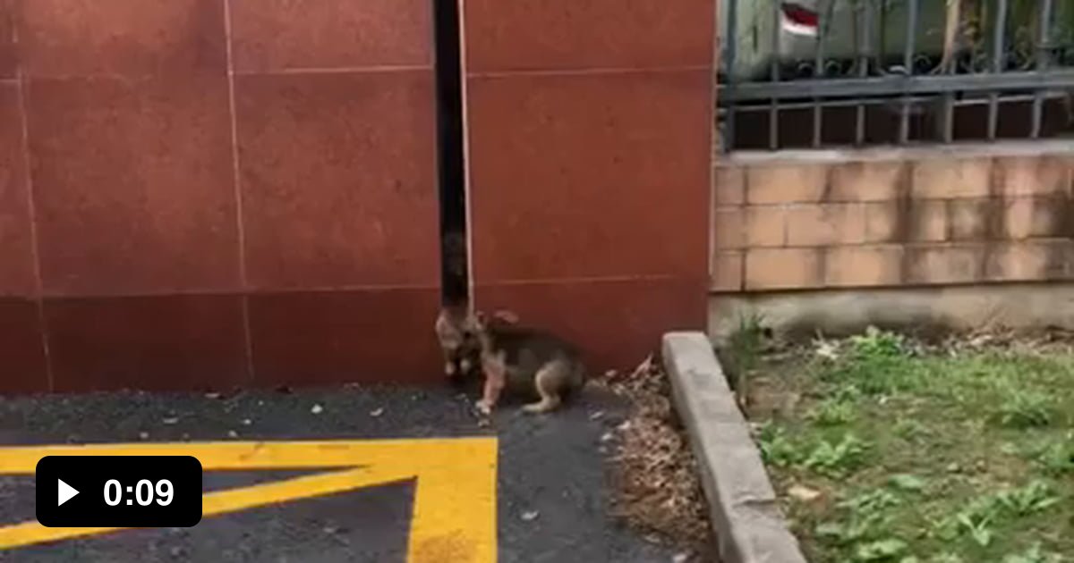 Step brother,I'm stuck - 9GAG