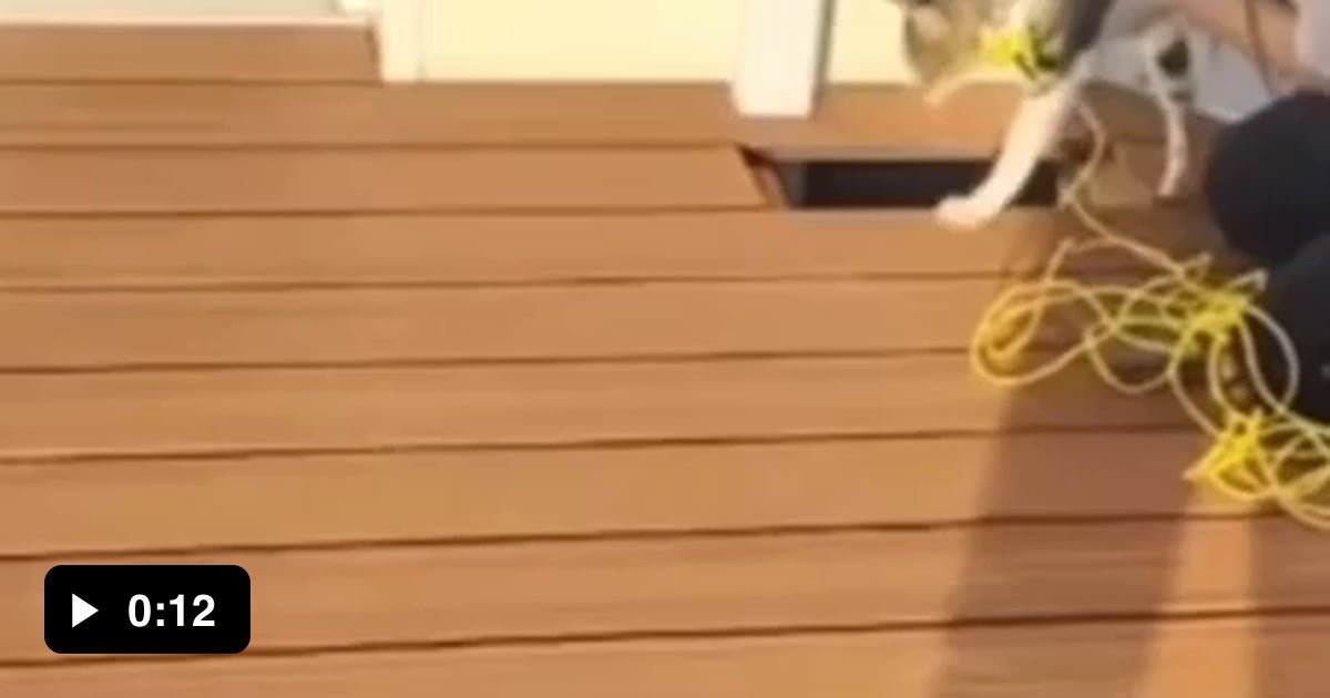 Cable Runner Life - 9GAG