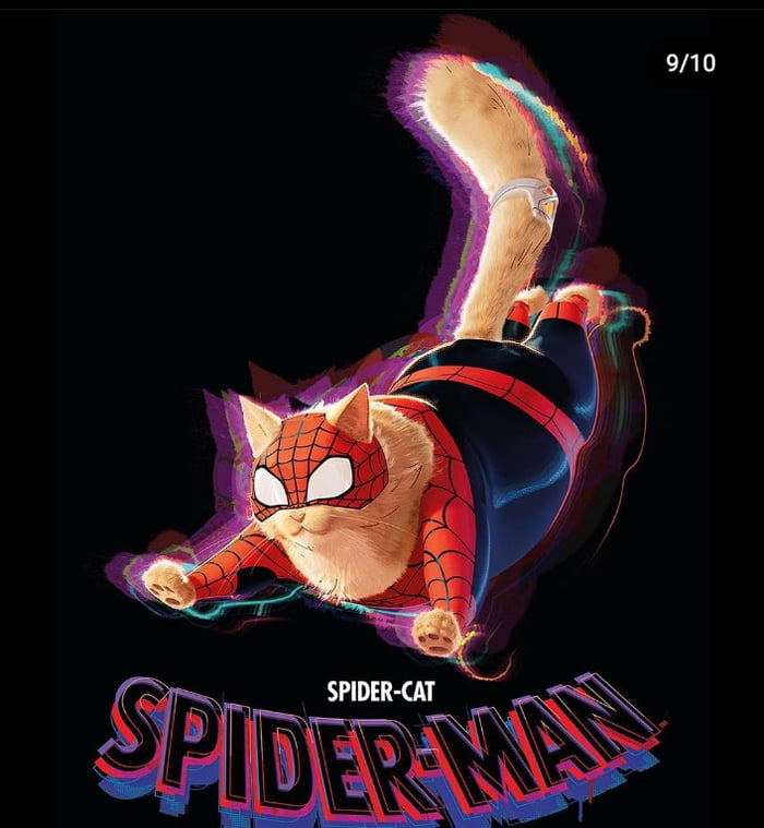 Do not the spider-cat - 9GAG