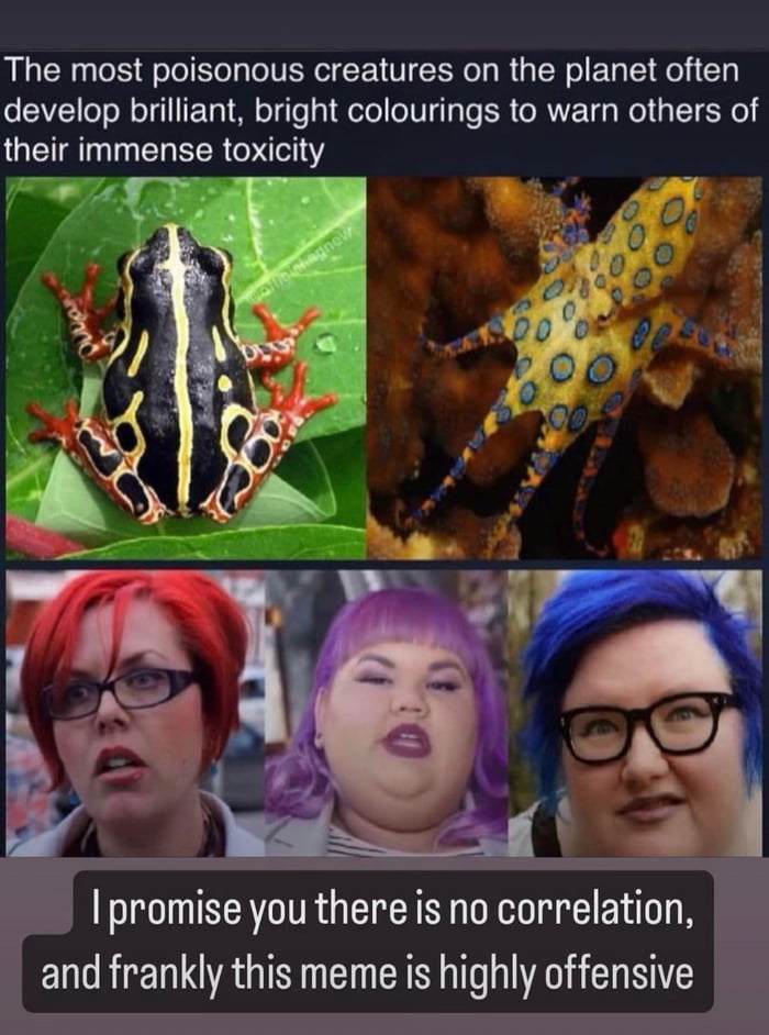 Tricky witty title - 9GAG