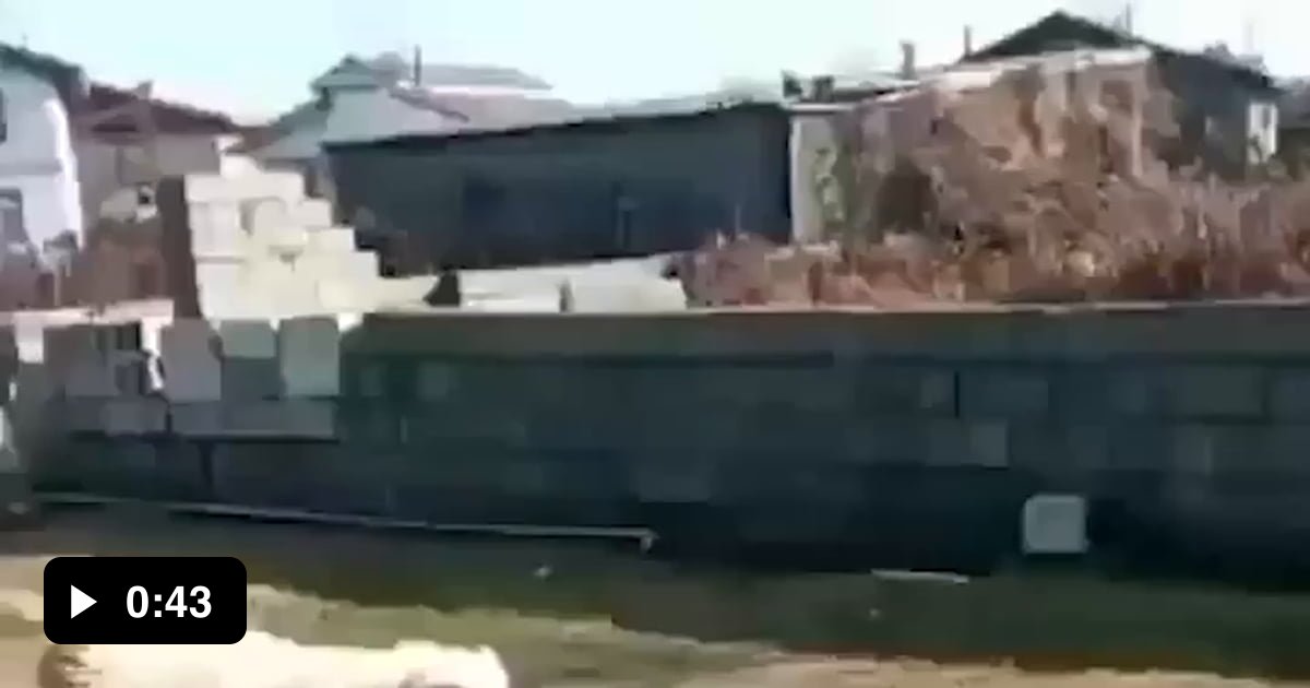 Give me the ball buddy - 9GAG