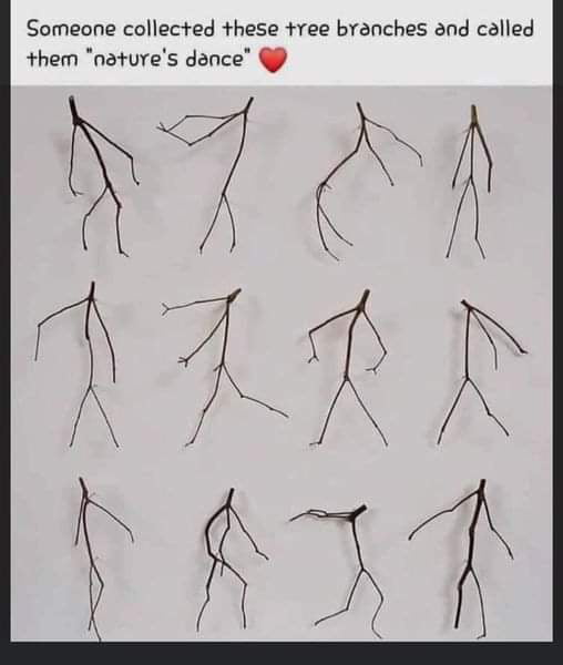 Dancing Trees - 9GAG