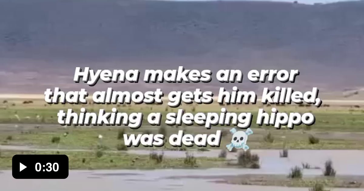 You picked the wrong place buddy - 9GAG