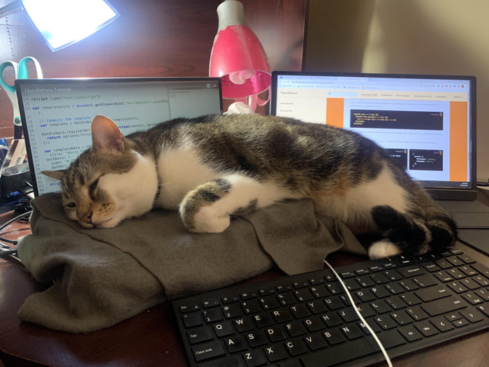 He’s a software developer but he’s obviously sleeping on the job - 9GAG