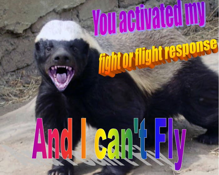 I've seen alot of negative rodent memes, so here's a positive one ...