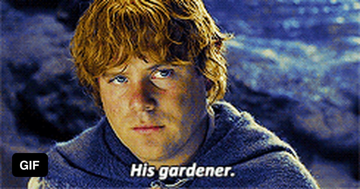 "And this is Samwise Gamgee." "Your bodyguard?" "His GARDENER." - 9GAG
