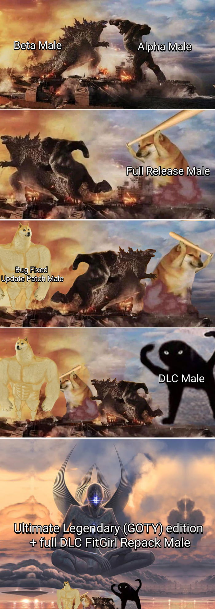 Contrary to what people belief, wild wolf pack doesn't really have an alpha male system - 9GAG