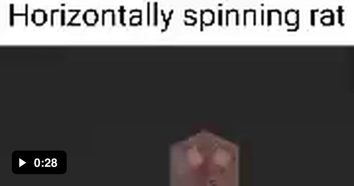 Vertically spinning rat - 9GAG