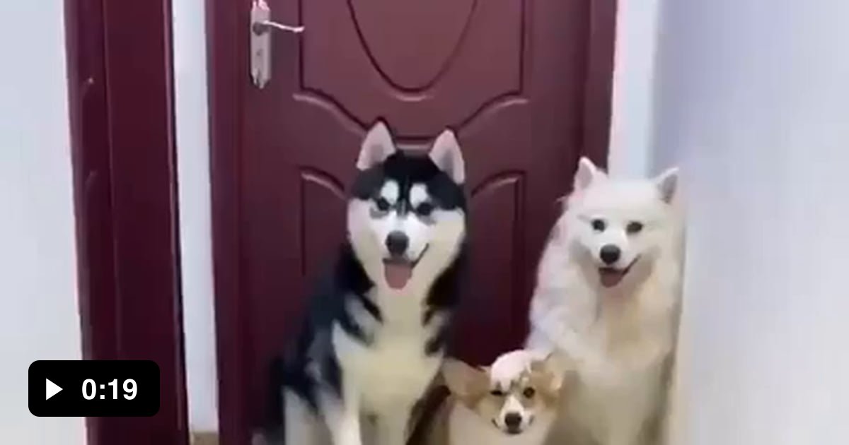 Zoolander style Walk Off...he is so hot right now - 9GAG