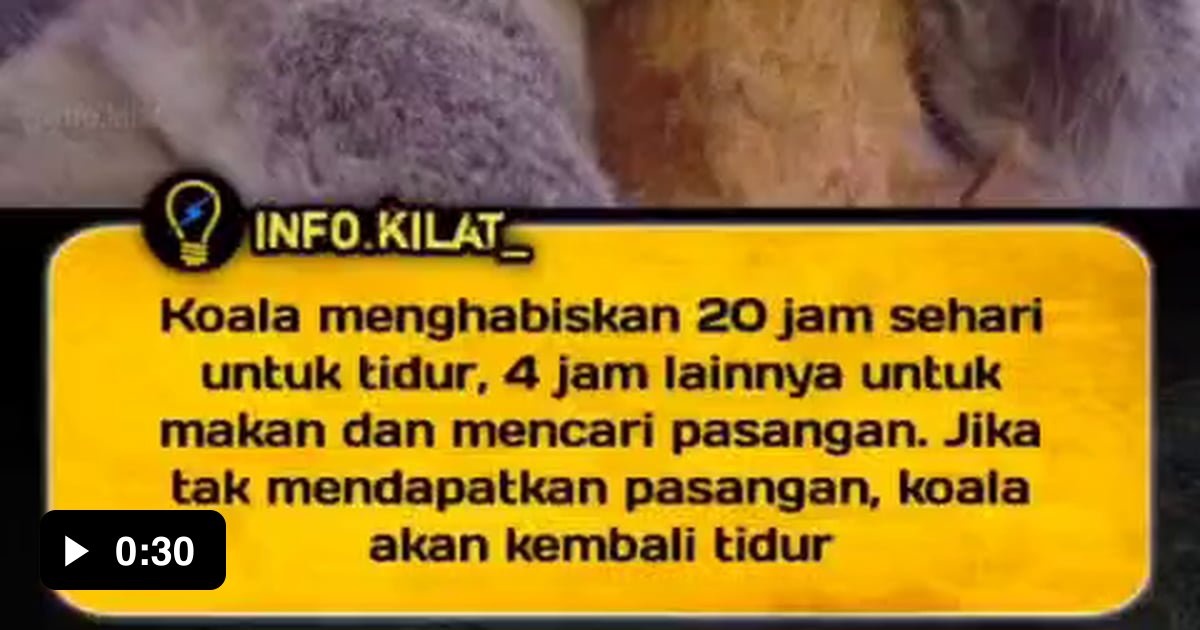 Libur = tidur, makan, ngewe. But, mostly tidur. - 9GAG