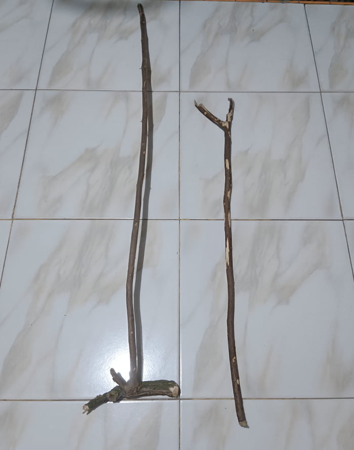 Rate my stick - 9GAG