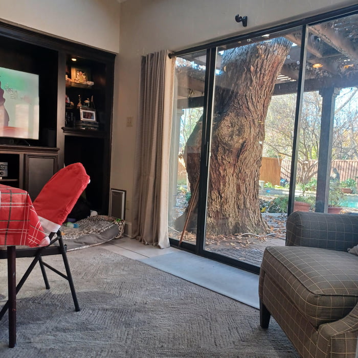 This unit of a tree - 9GAG