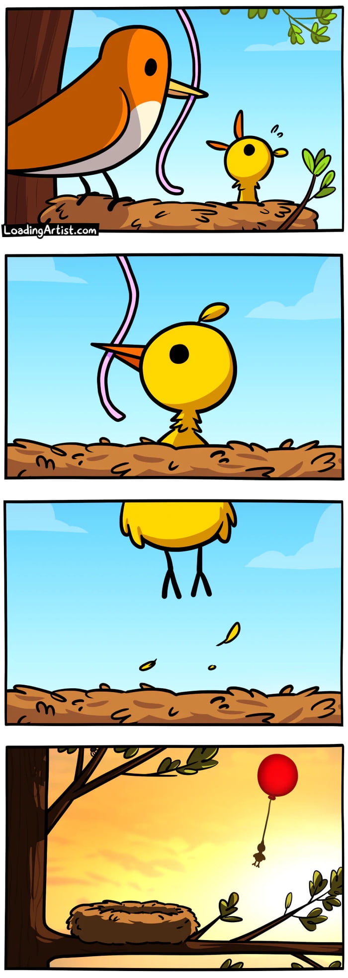 Fly bird - 9GAG