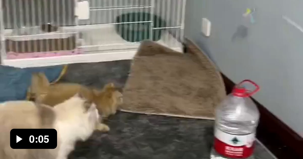 Gravity is optional. Or.. Russian Mode [activated] - 9GAG