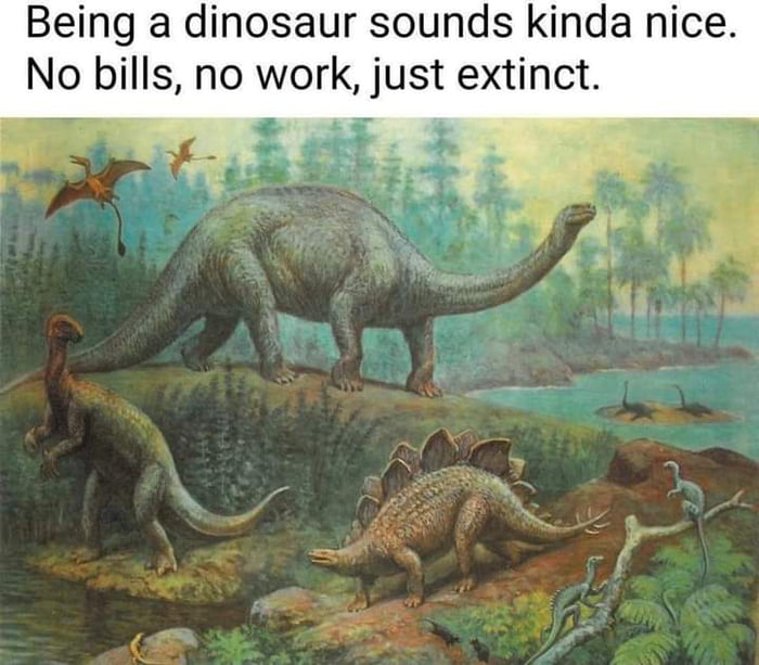 Sounds promising. - 9GAG