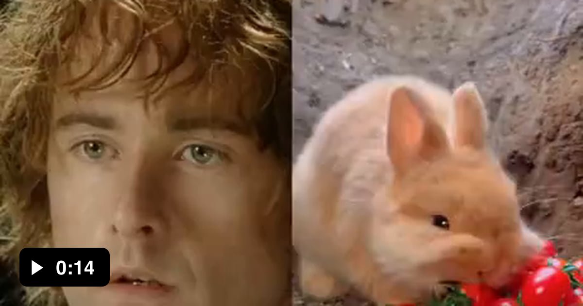 Can you sing, master Hobbit? - 9GAG