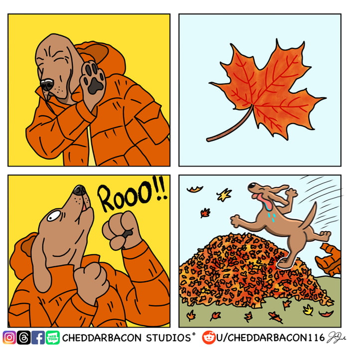First Day of Fall - 9GAG