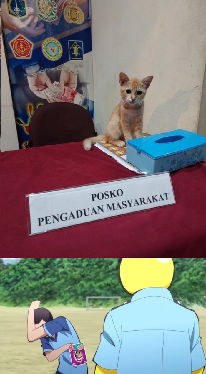 'Its present for you, Sir. Nothing wrong with it' - 9GAG